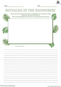 The Amazon Rainforest – Our Top Video! – Virtual Field Trips