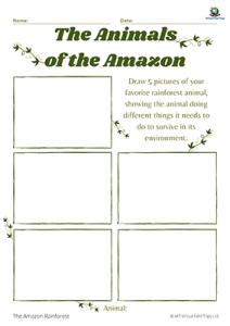 Amazon Rainforest Video – Virtual Field Trips – Upper Elementary