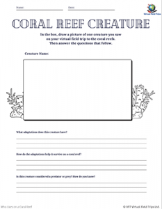 Who Lives On a Coral Reef? – A Virtual Field Trip