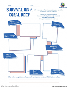 Who Lives On a Coral Reef? – A Virtual Field Trip