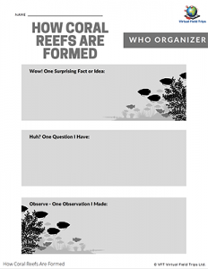 How Coral Reefs Are Formed – Habitat Video Lesson