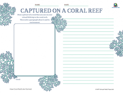 Virtual Field Trips – How Coral Reefs Are Formed – Video