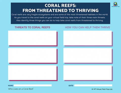 Virtual Field Trips – Who Lives On a Coral Reef? – Video