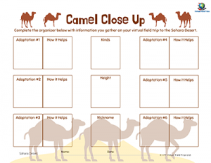 Sahara Desert – Virtual Field Trips