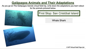 Virtual Field Trips – Galápagos Islands – Unique & Enchanting