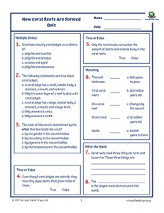 How Coral Reefs Are Formed – Habitat Video Lesson