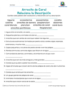 How Coral Reefs Are Formed (Spanish) Video Lesson - Habitats.