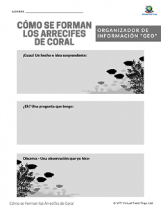 How Coral Reefs Are Formed (Spanish) Video Lesson - Habitats.