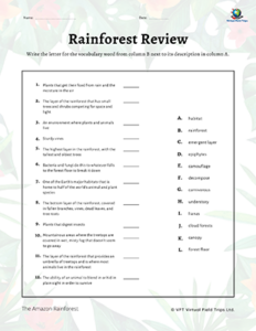 The Amazon Rainforest – Our Top Video! – Virtual Field Trips